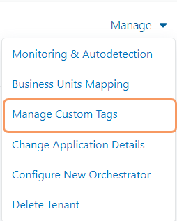 Manage Custom Tags