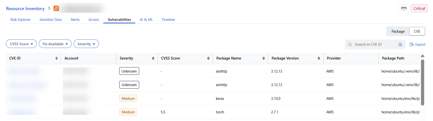 Viewing the CVE details