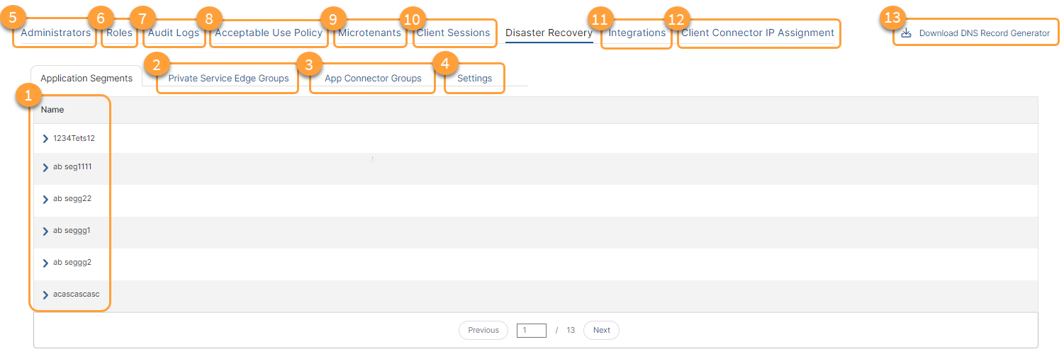About Disaster Recovery Application Segments | Zscaler