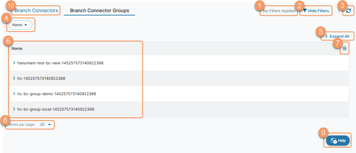Viewing the Branch Connector Groups page within the ZPA Admin Portal