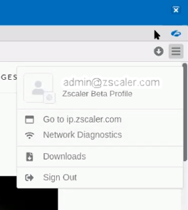 Accessing Network Diagnostics in Isolation | Zscaler